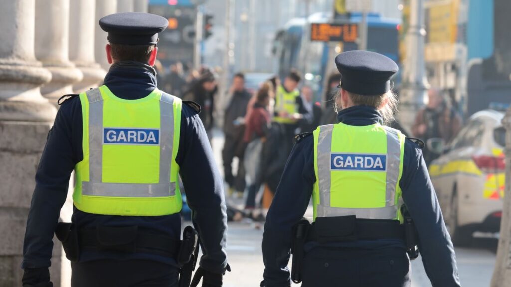 Garda Complete Package Stage 1, 2 & 3 - Career Services