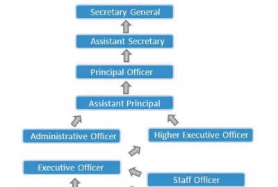 The Role of an Administrative Officer - Career Services